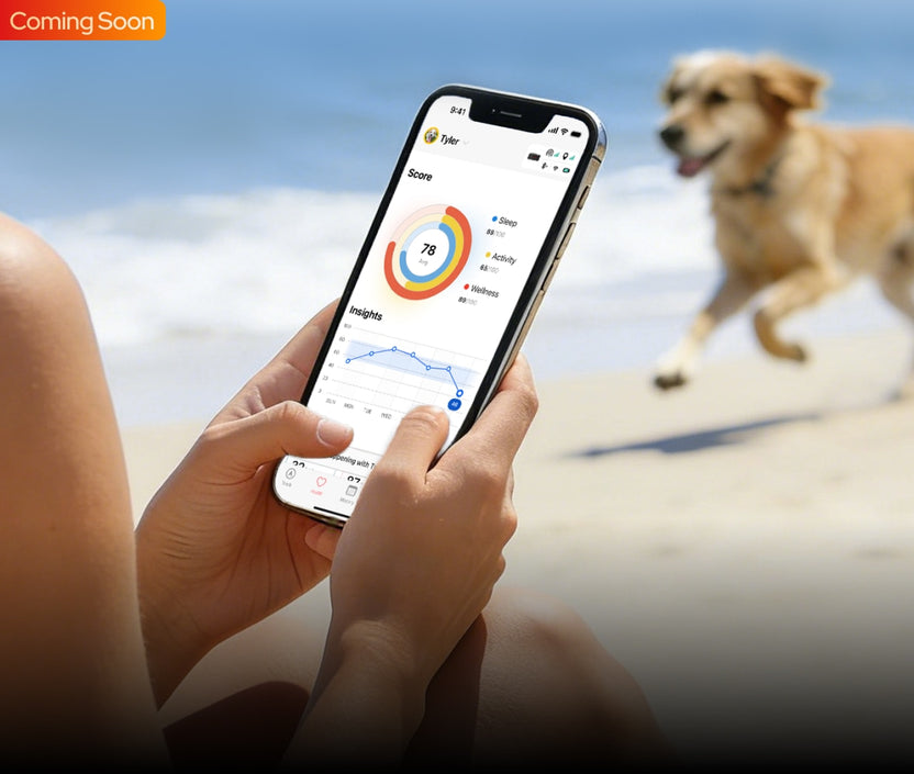 SATELLAI: The most advanced AI powered satellite pet collar